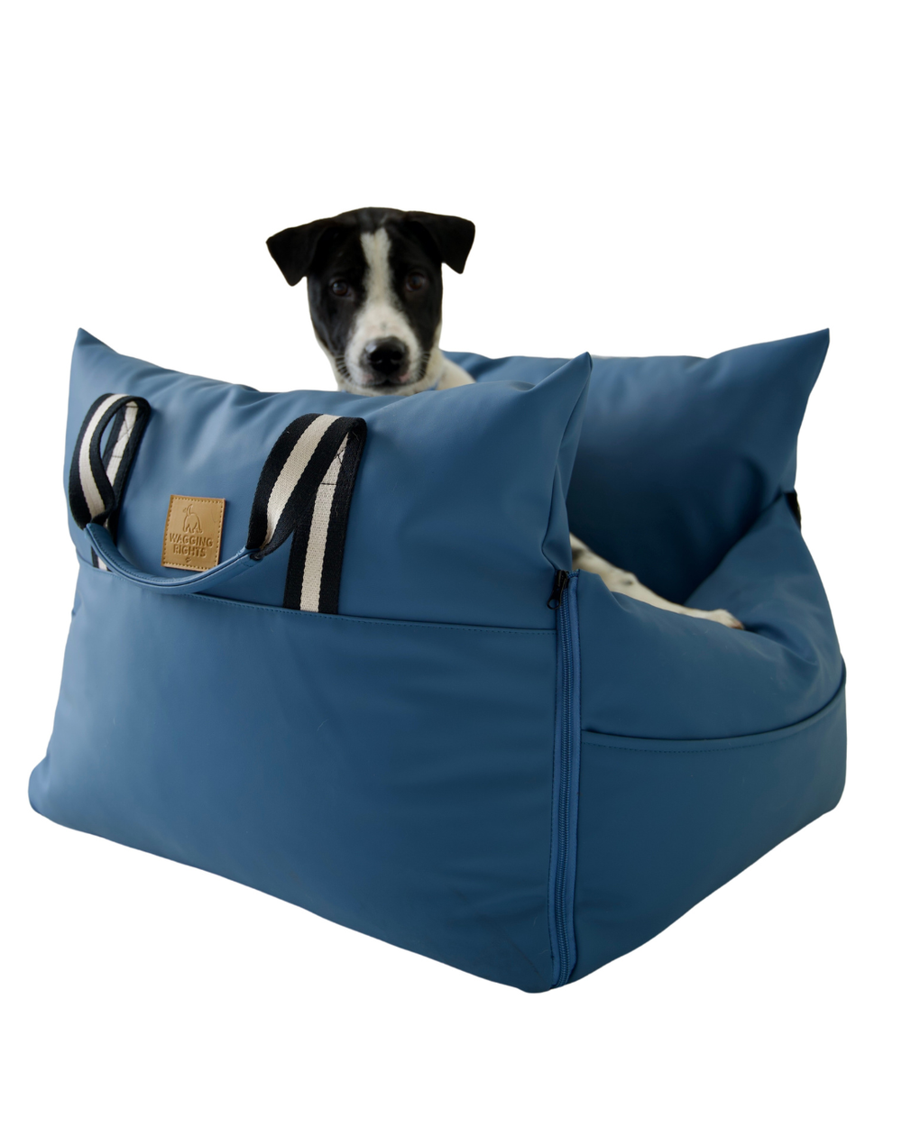 The Dog Dock